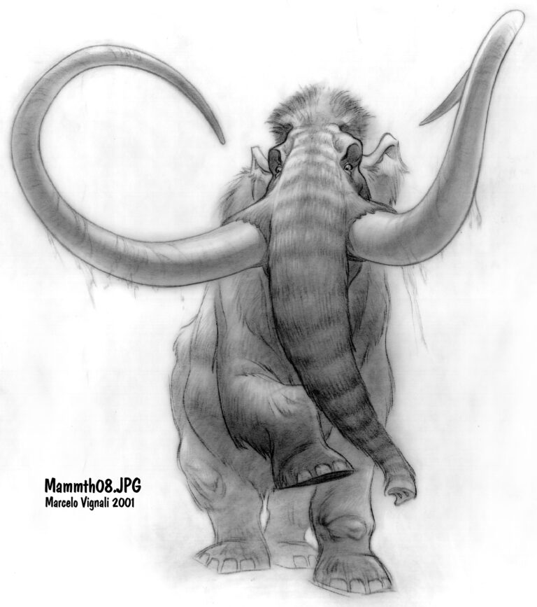 CHARACTERS – Vignali Studio